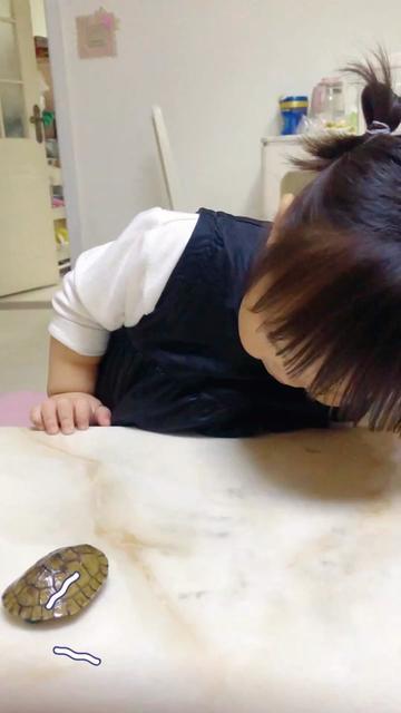 当人类幼崽和动物幼崽相遇人类幼崽到底有多可爱宝宝成长记