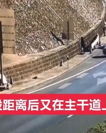 【胆大胡开!高速路上逆行+掉头,12分全没了!】云南玉溪,一辆银色的小...