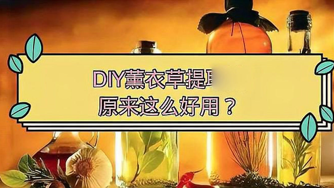 原来纯天然薰衣草油提取方法怎么简单?而且可以调配出多种用途?