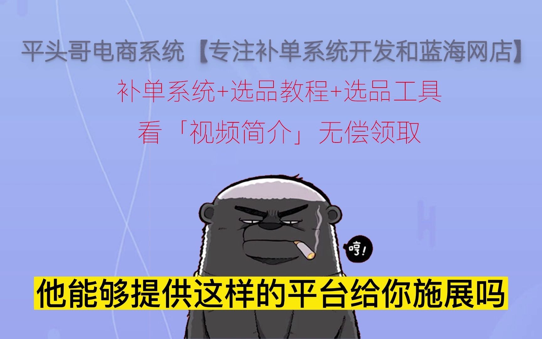 平头哥电商系统做网店淘宝补单系统表格选品工具教程干货不超v吗