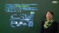 078 生物专题6.遗传的分子基础及基因工程(下)