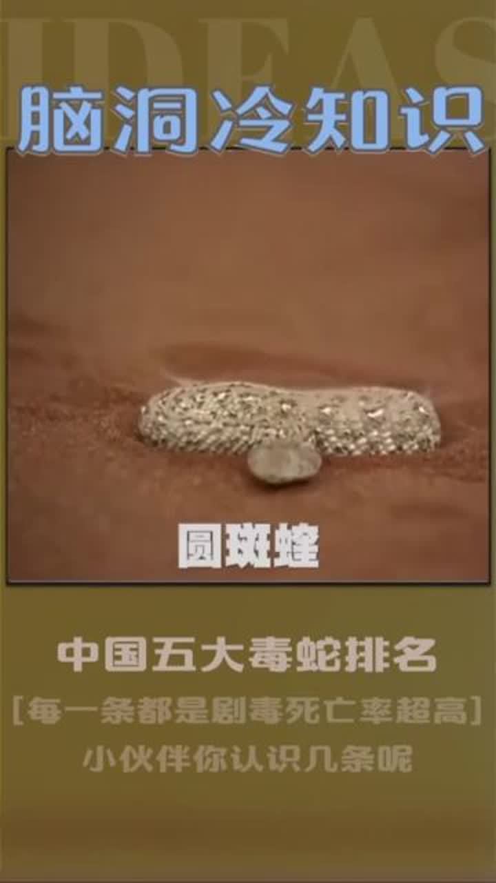 中国五大毒蛇排名,看到这几...