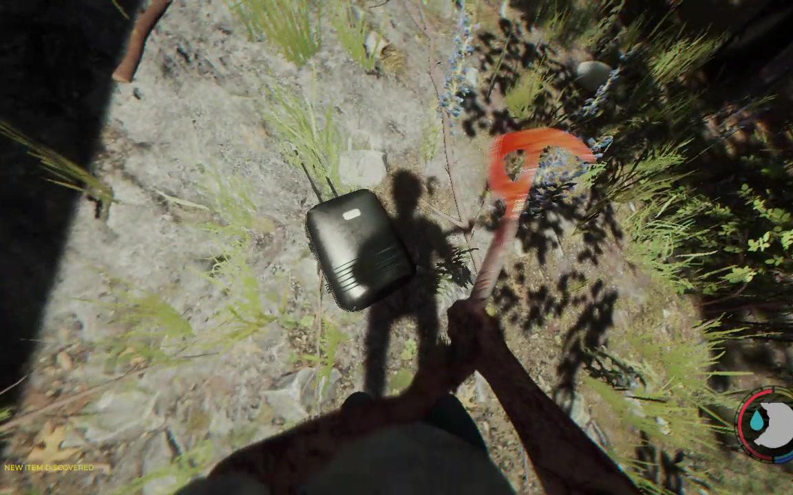 【森林专辑】持续更新的森林游戏录屏!