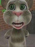 talking tom 你无情你无耻你无理取闹