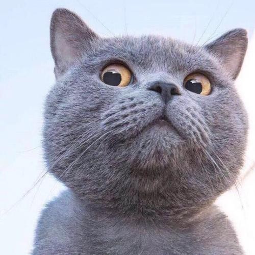 白发的老渔樵kg 