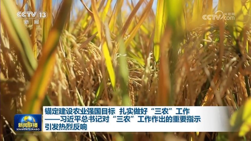 锚定建设农业强国目标 扎实做好"三农"工作--习近平总书记对"三农"...