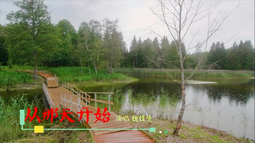 新歌推荐 魏佳艺《从那天开始》你是我的往事 我是你的过客