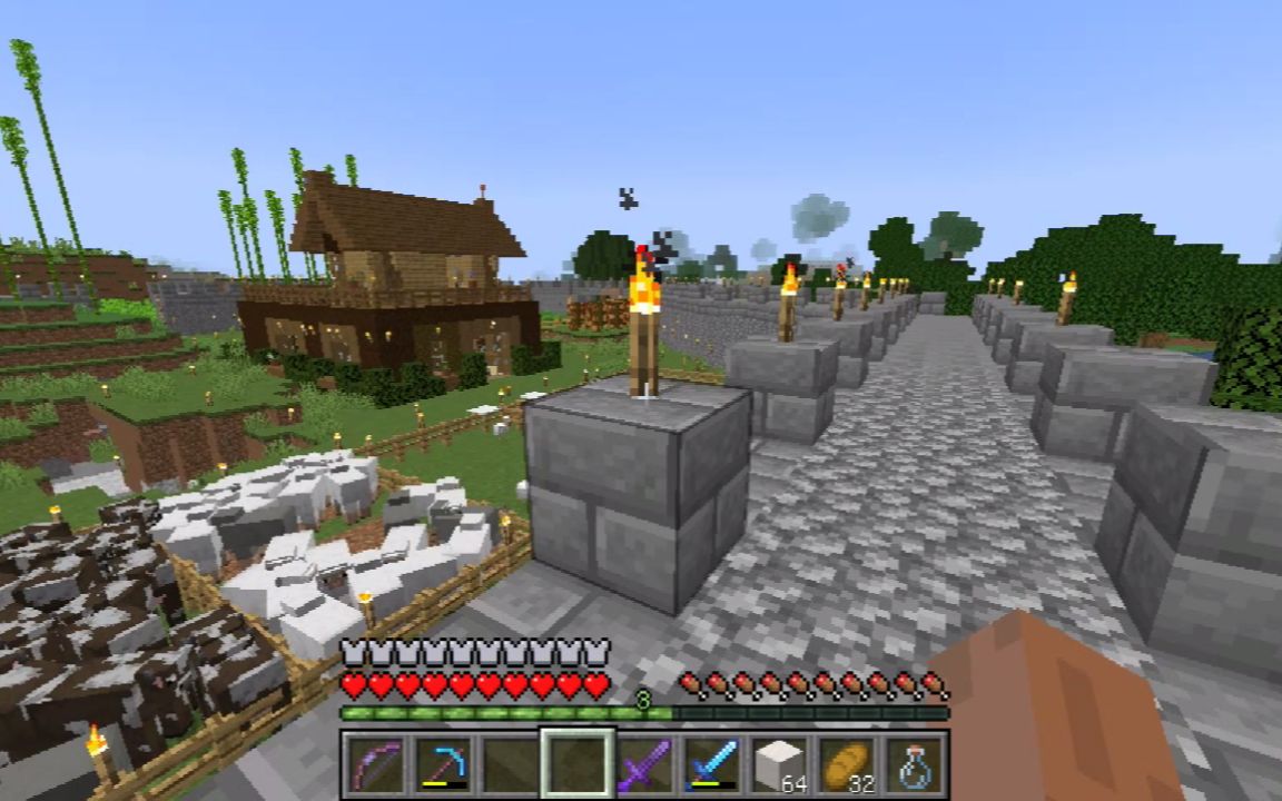 我的世界 Minecraft 1.17原版生存 #7