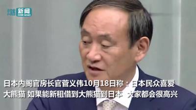 旅游安倍访华拟租借大熊猫 乐坏日本民众了!