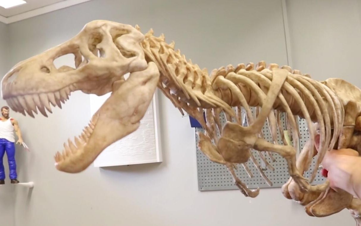 震惊! 3D打印出巨大霸王龙化石