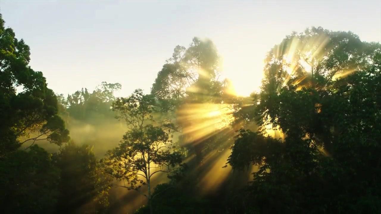 #森林防火宣传四川省森林消防总队形象宣传片