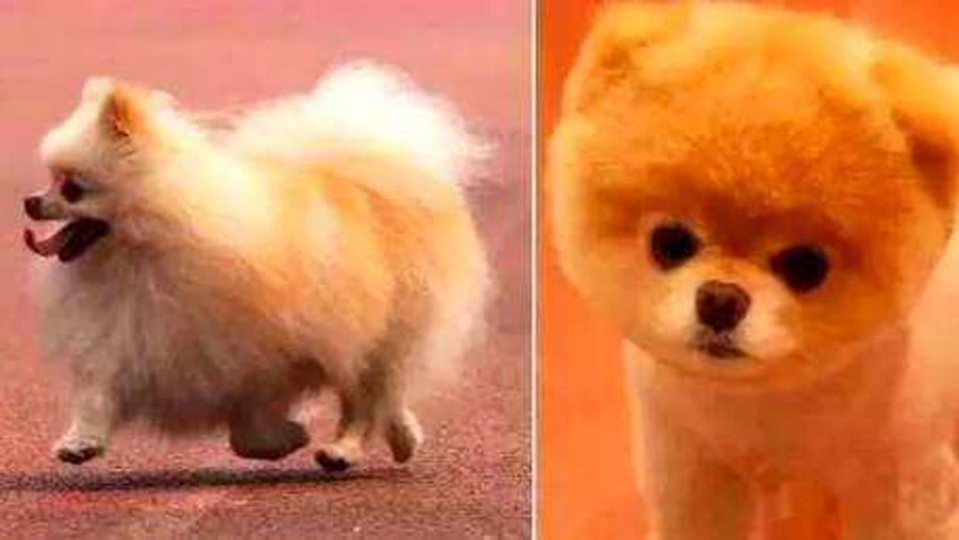 如何把多张照片合成一张?以后发朋友圈就靠它了