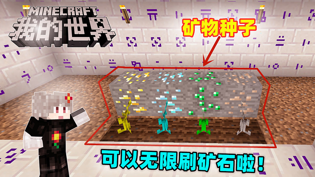 我的世界超变态钻石大陆11.终于种出矿石种子,有无限的矿物花啦!