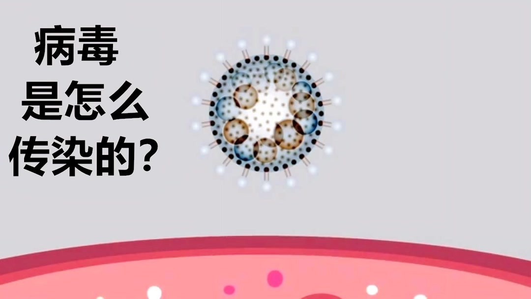 病毒是如何进行传染的?这次原理讲清楚了