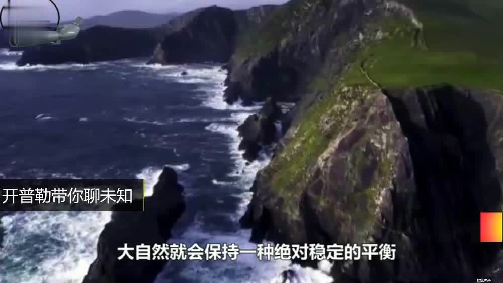 沙漠变森林地球会怎么样,后果无法想象