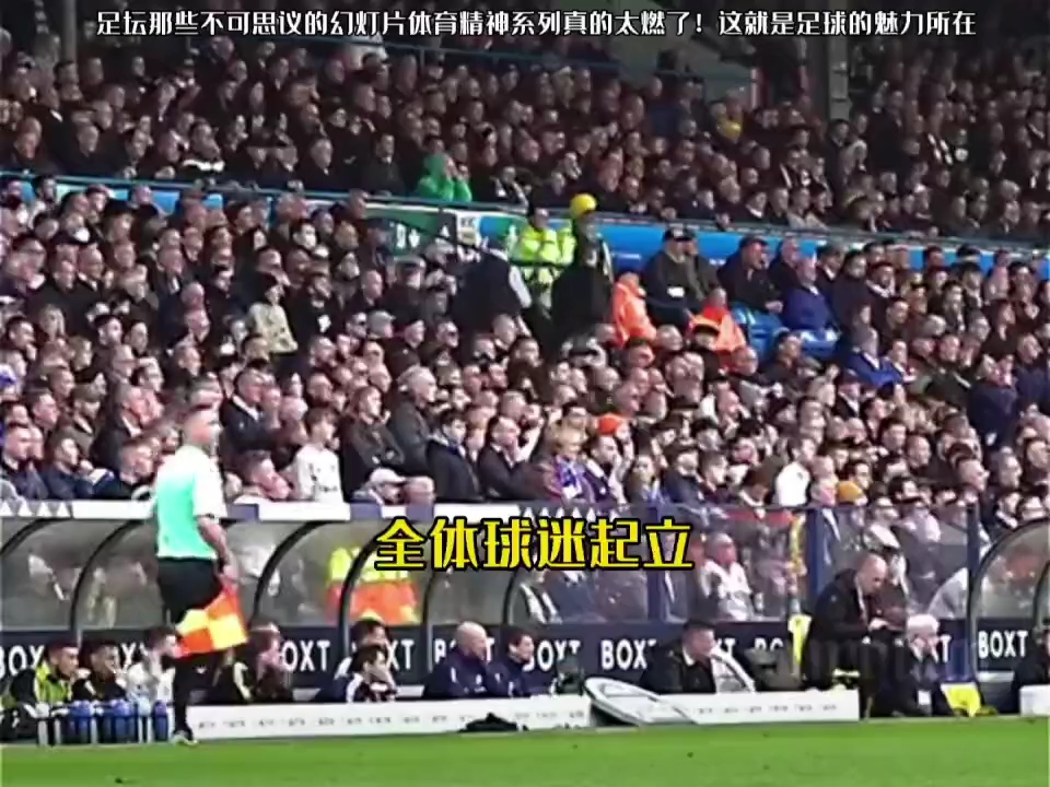 10.8足球计划单推荐