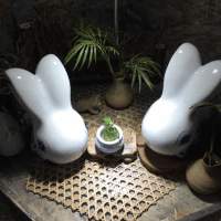 一起看看这世界 