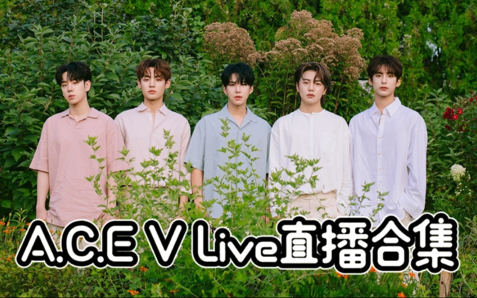 【A.C.E】vlive直播合集 1