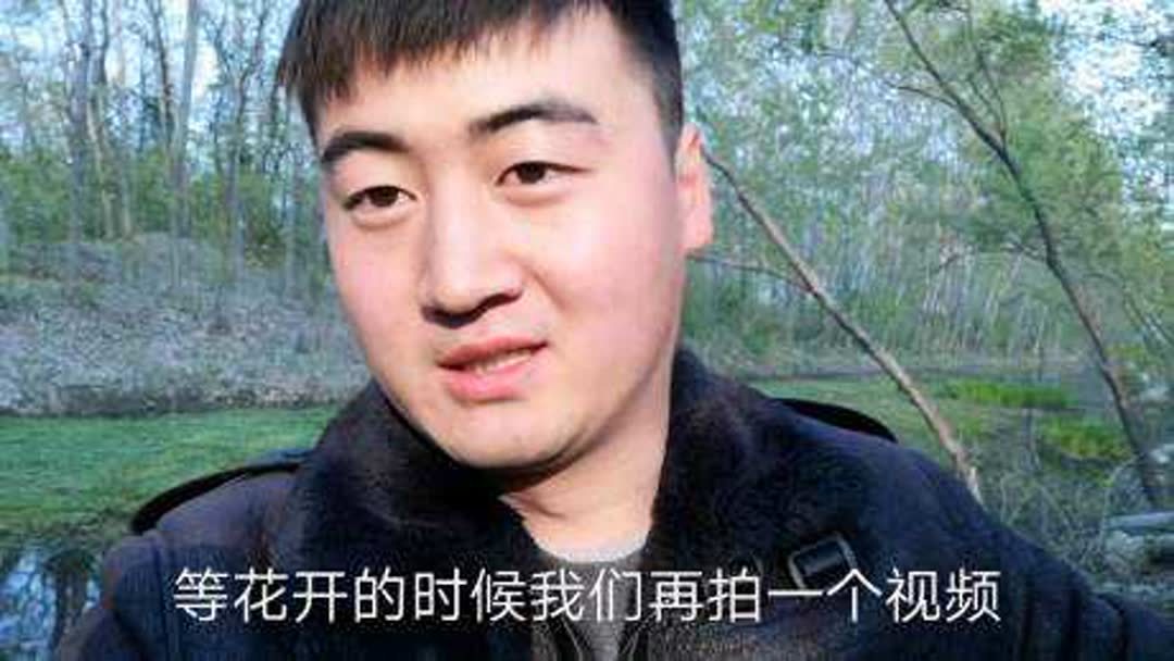 睡莲的种植很简单,小伙讲解演示,有喜欢水生植物的一起来种吧