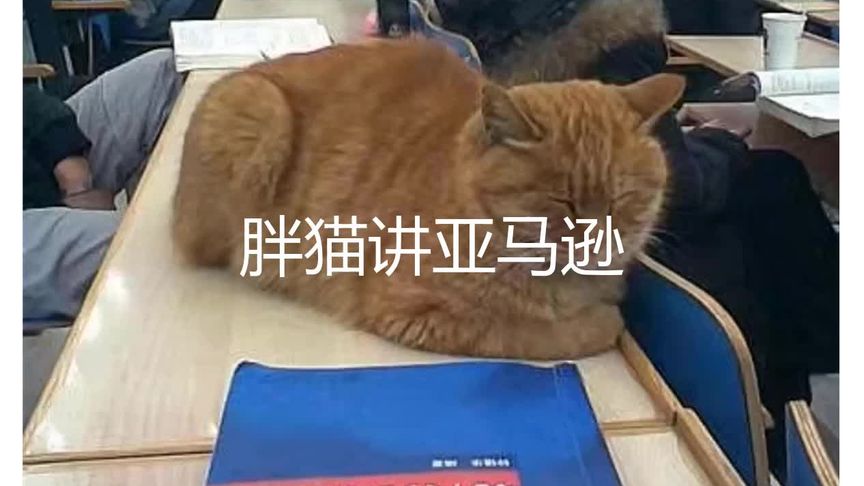 胖猫讲亚马逊-信用卡绑定未扣费