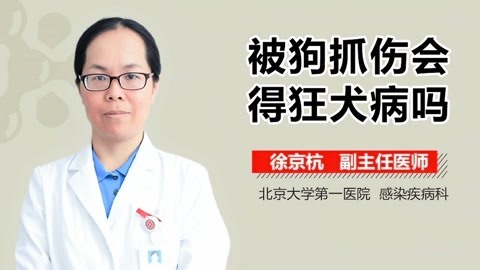 被狗抓伤会得狂犬病吗?