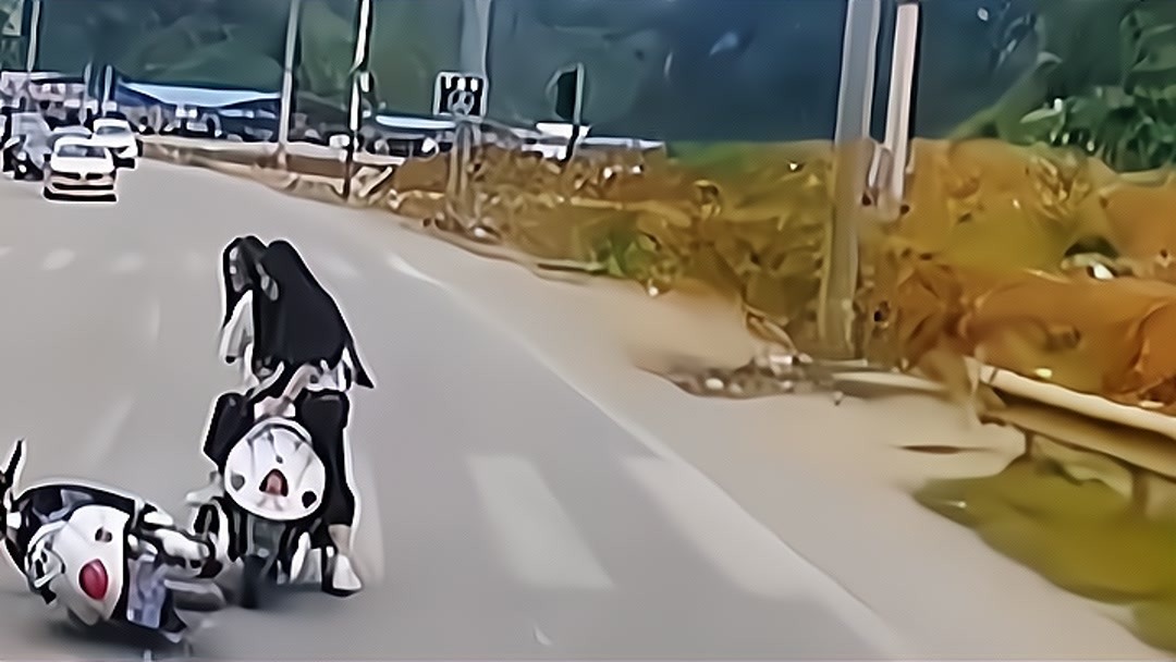 高考结束了,同学们要注意安全,就算是骑电动车也要遵守交通规则