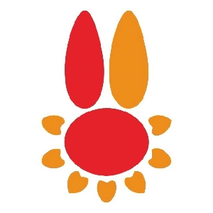 洛阳小白兔1 