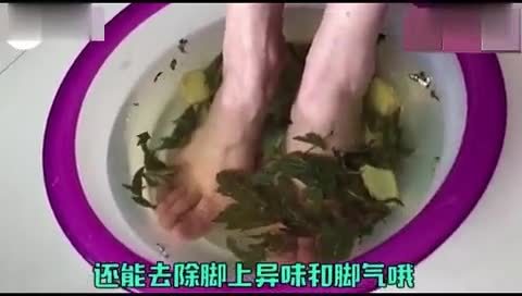 姑娘用艾叶泡脚,竟没想到有这么大的作用,回家赶紧试一试