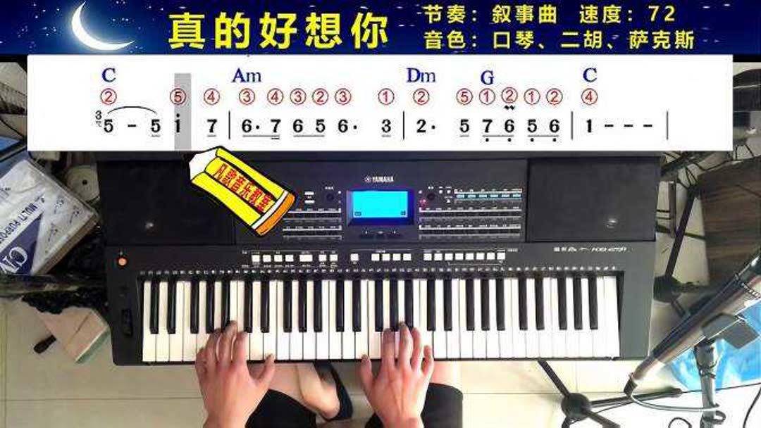 《真的好想你》电子琴独奏:和弦简谱 加指法同步显示