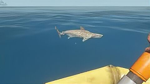 贝爷荒岛生存ep.1取掉头就可以吃了