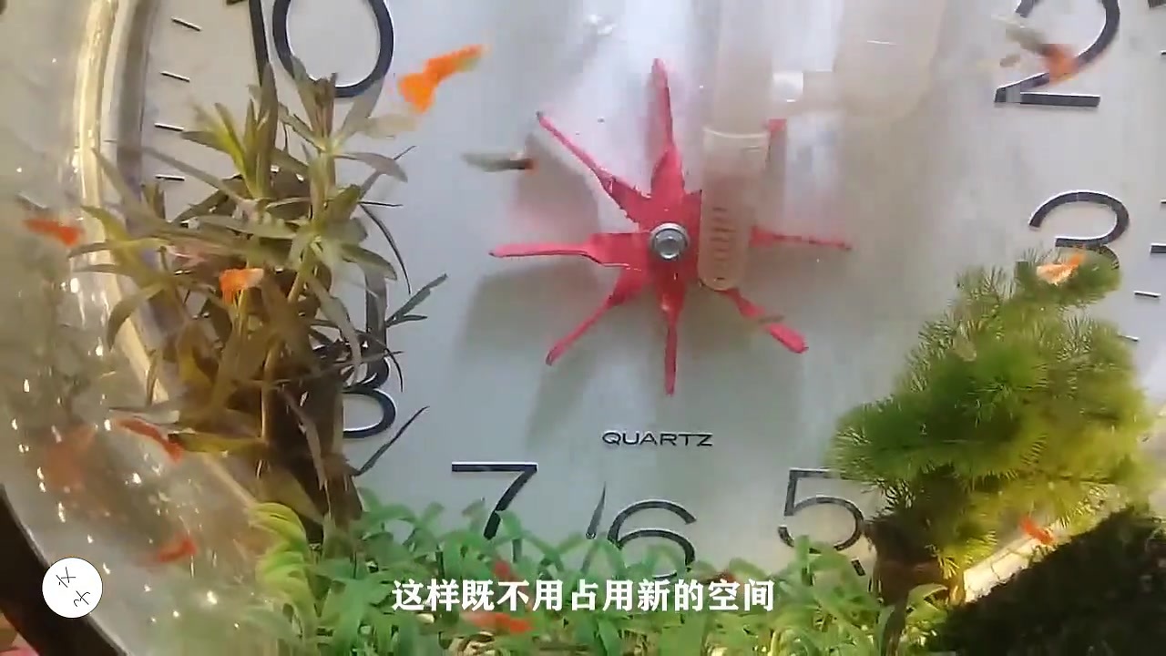 颜值超高还实用的钟表,把鱼都装进去了,有点意思