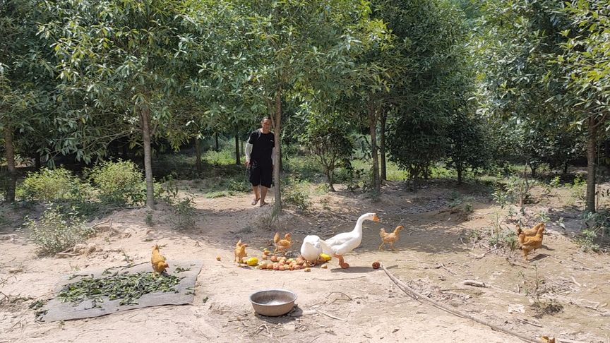 不管做什么都不要急于求成,因为播种和收获在不同季节过程叫坚持