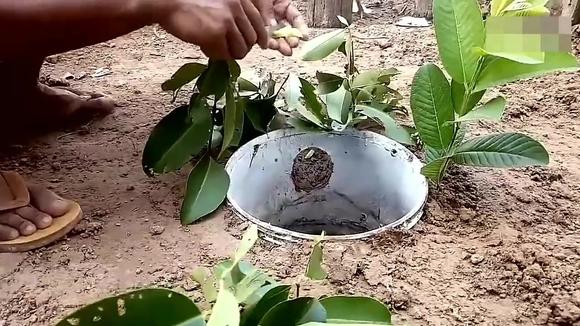 小伙用水桶自制捕鼠器,简直太实用了,如果运气好绝对抓不少