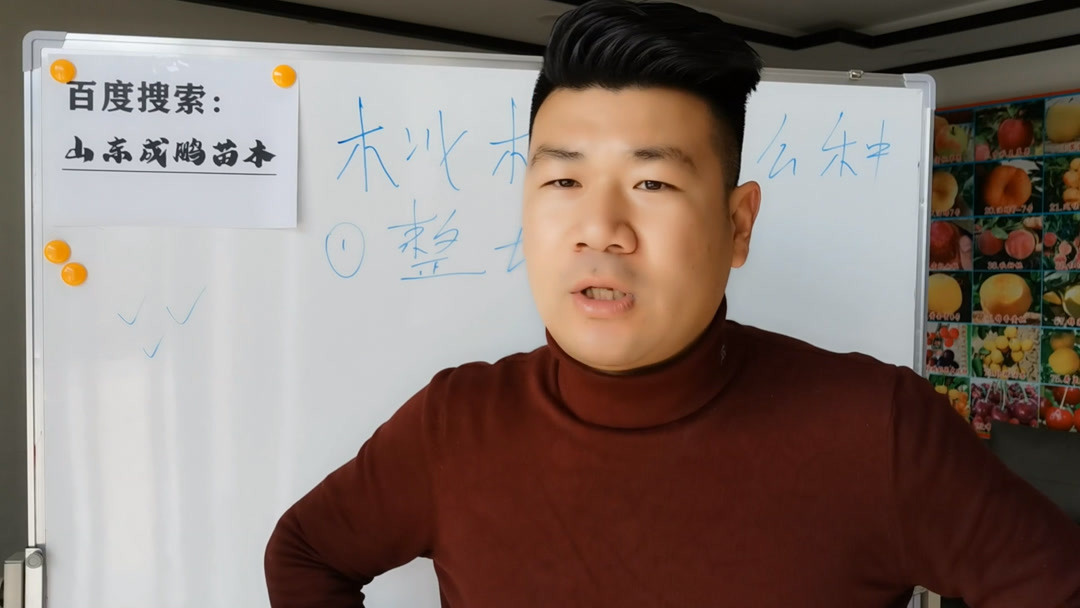 桃树苗怎么种植