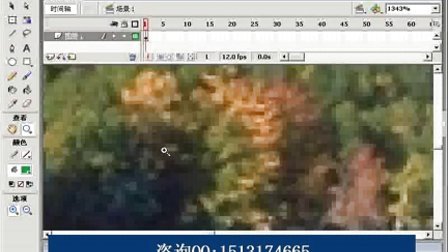 flash动画制作教程 flash入门教程 flash基础教程 flash视频教程 flash网页...