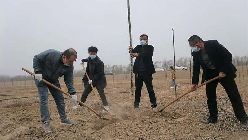 菏泽:携手“植树节”活动,扮美黄河共建生态廊