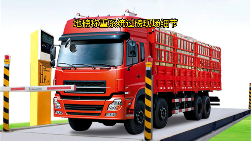 衡安地磅称重软件过磅现场细节6.29