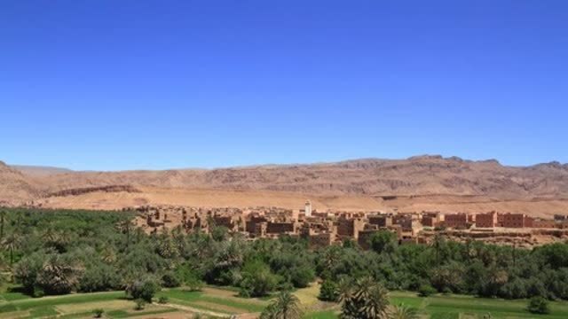 如果把全部的沙漠变成森林,会有什么后果?说出来你都不敢信