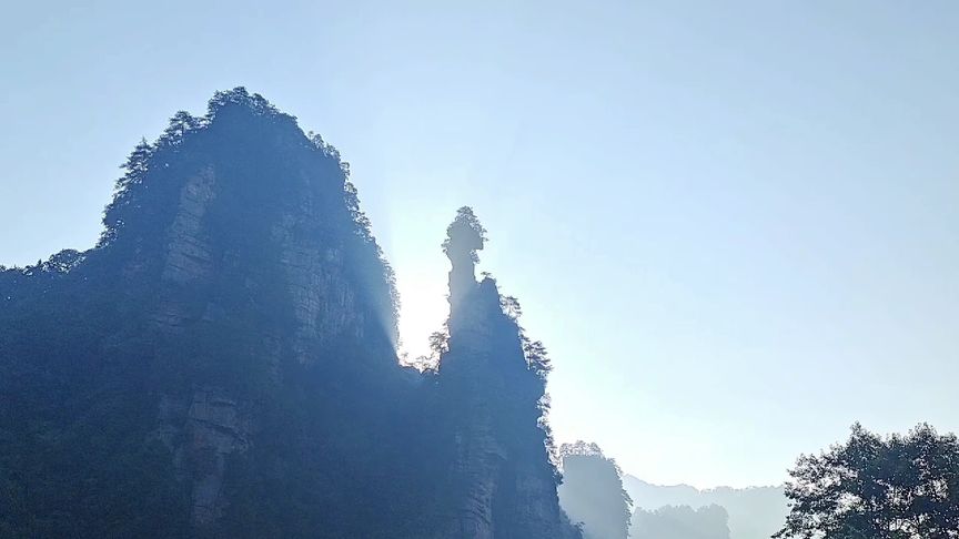 张家界国家森林公园大自然孔雀开屏欢迎你