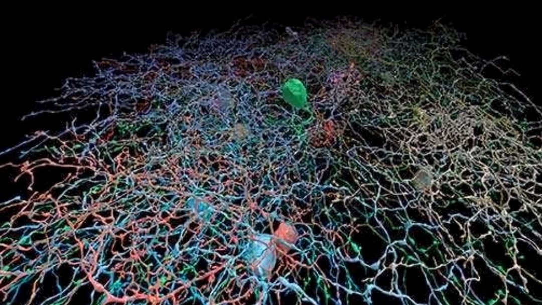 谁说人脑比不过计算机?世界第4强计算机的模拟能力被人脑秒杀