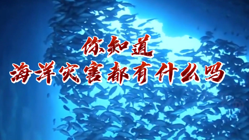 海洋中的灾害,都有哪几种,你知道吗