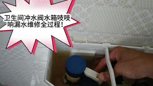 实操:卫生间冲水阀水箱吱吱响漏水,看很哥不需要换配件拆装维修!