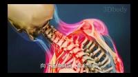 颈椎间盘突出症治疗颈椎病原理3D动画视频讲解推拿正骨演示理疗...