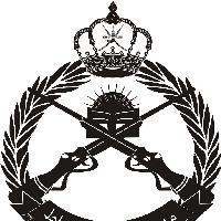 专心搞盒子刷机包 