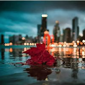 架海金梁 