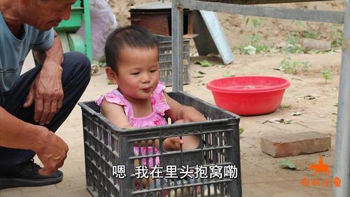 2岁宝宝模仿老母鸡,坐在框里孵鸡蛋,和爷爷抬杠,把奶奶笑喷了
