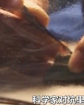 高清纪录片《秦始皇的幽灵军队》视频较长,喜欢的可以先马后看!