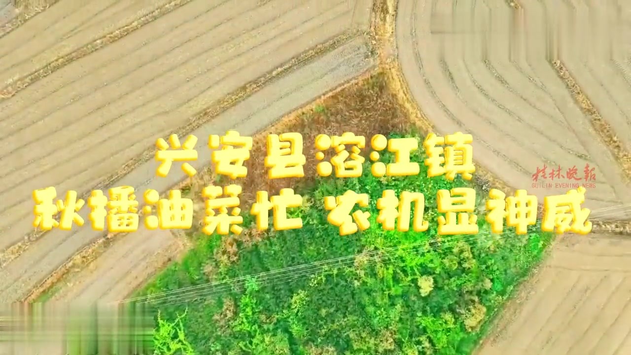 桂林兴安溶江镇:秋播油菜忙农机显神威#桂林#兴安#农业