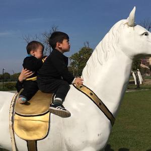 陪着俩娃去旅行 