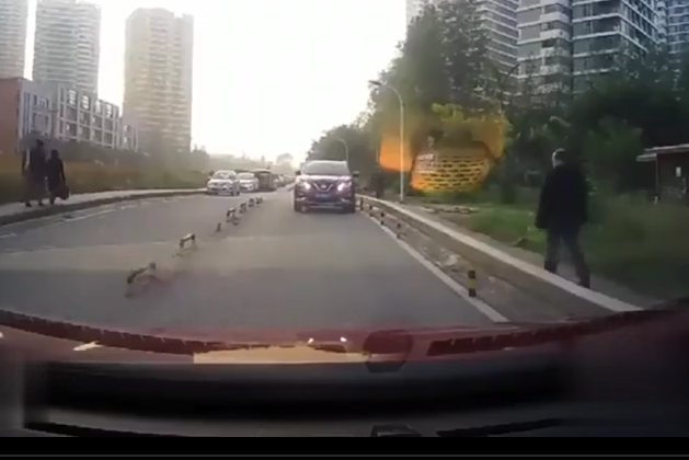 行车记录仪:任性的司机,逍客当牧马人使唤,有没有考虑车的感受